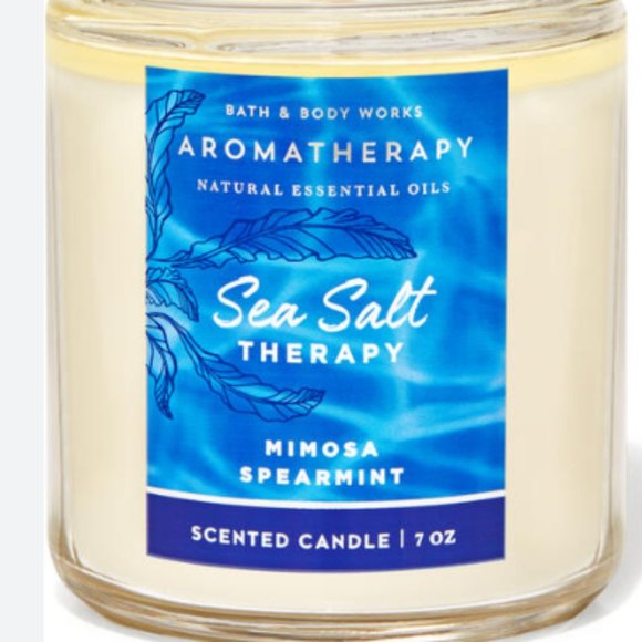 Bath And Body Works Accents New Bath Body Works Aromatherapy Spearmint New Scented Candle